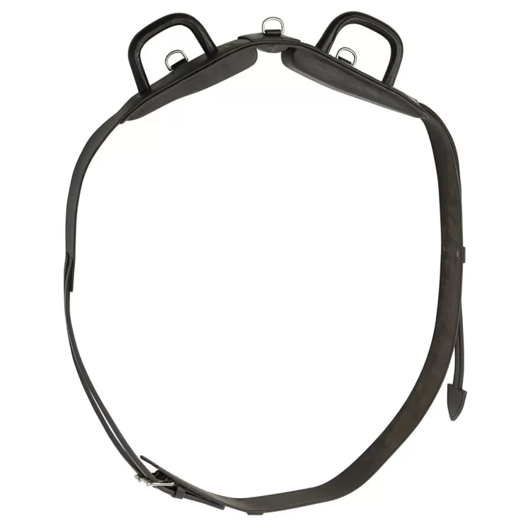 Norton Club Leather Vaulting Roller With Closed Handles | Equine World UK