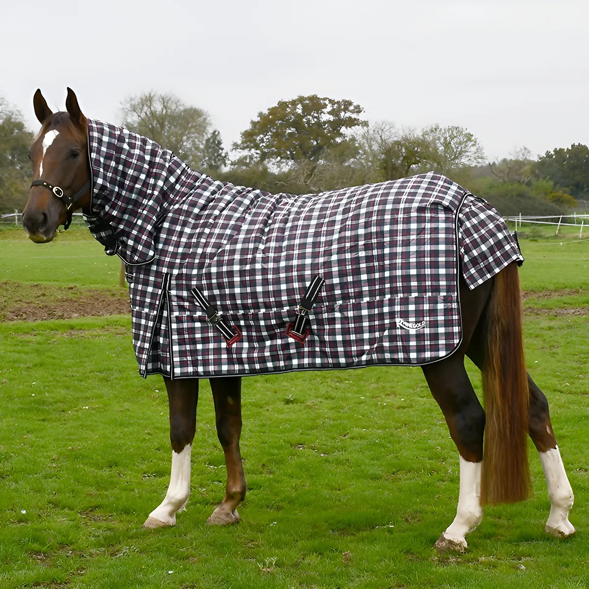 Heavyweight Turnout Rugs (320g -350g)